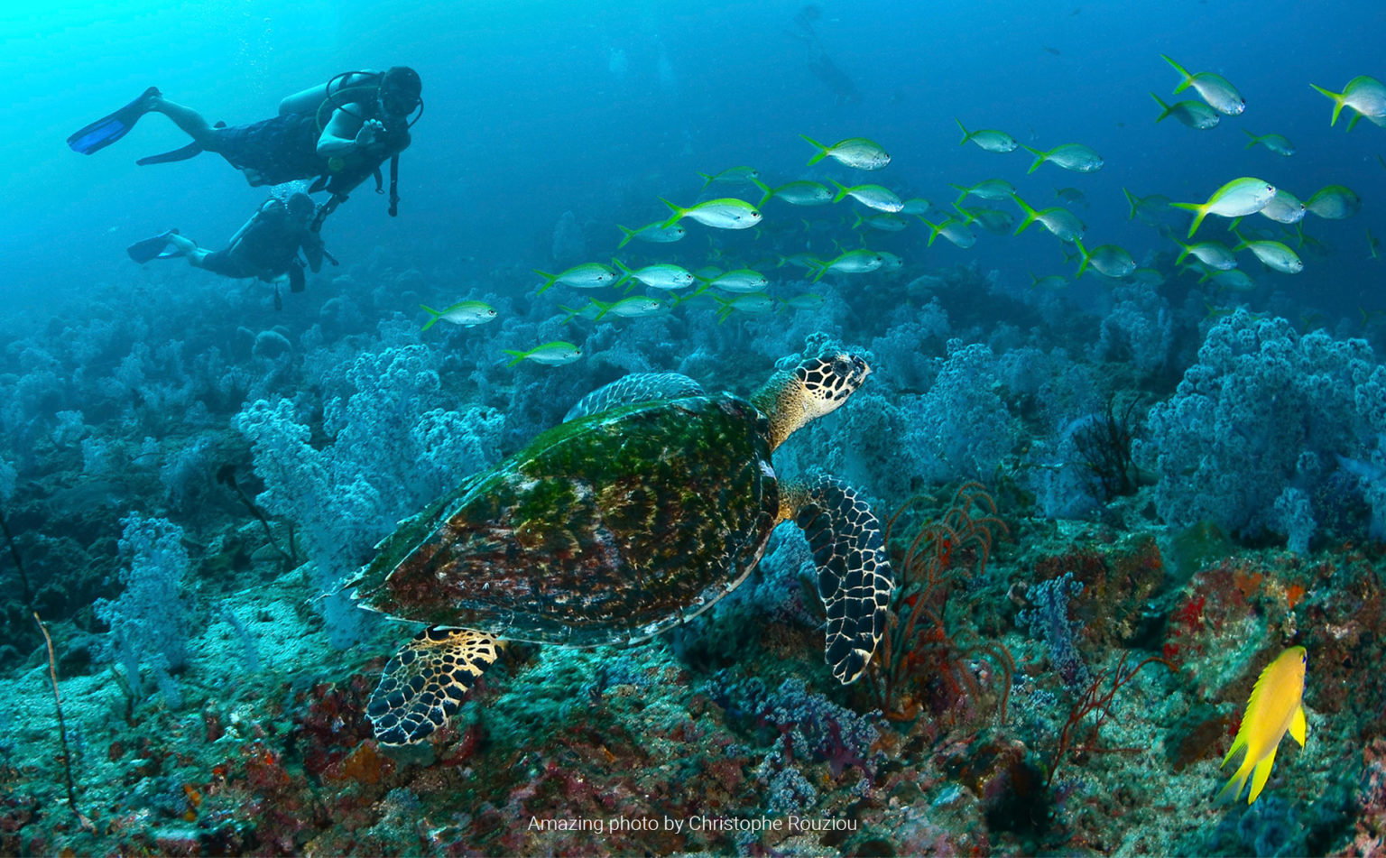Koh Haa - Diving Koh Lanta - Hidden Depths Diving