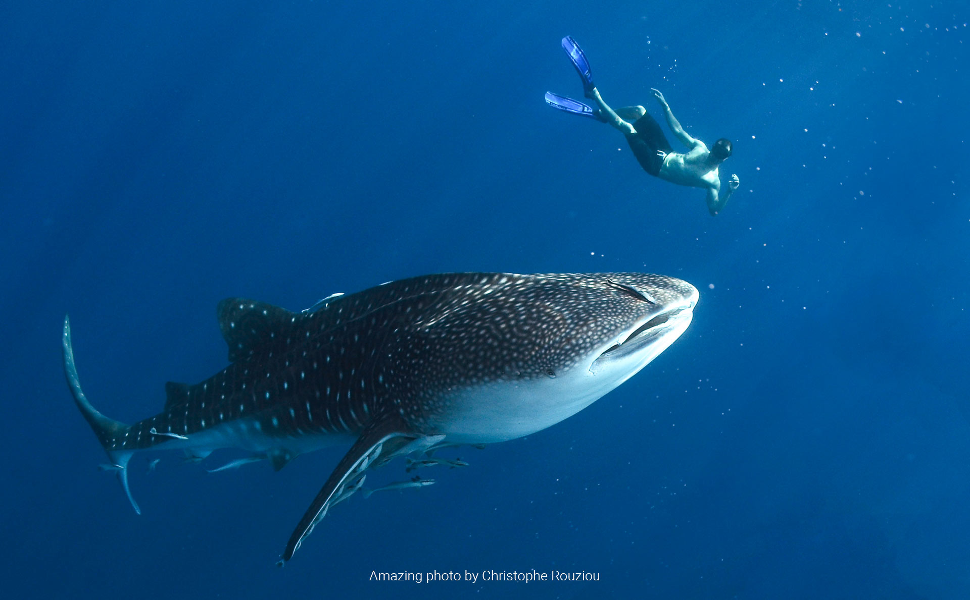 Koh Haa - Diving Koh Lanta - Hidden Depths Diving