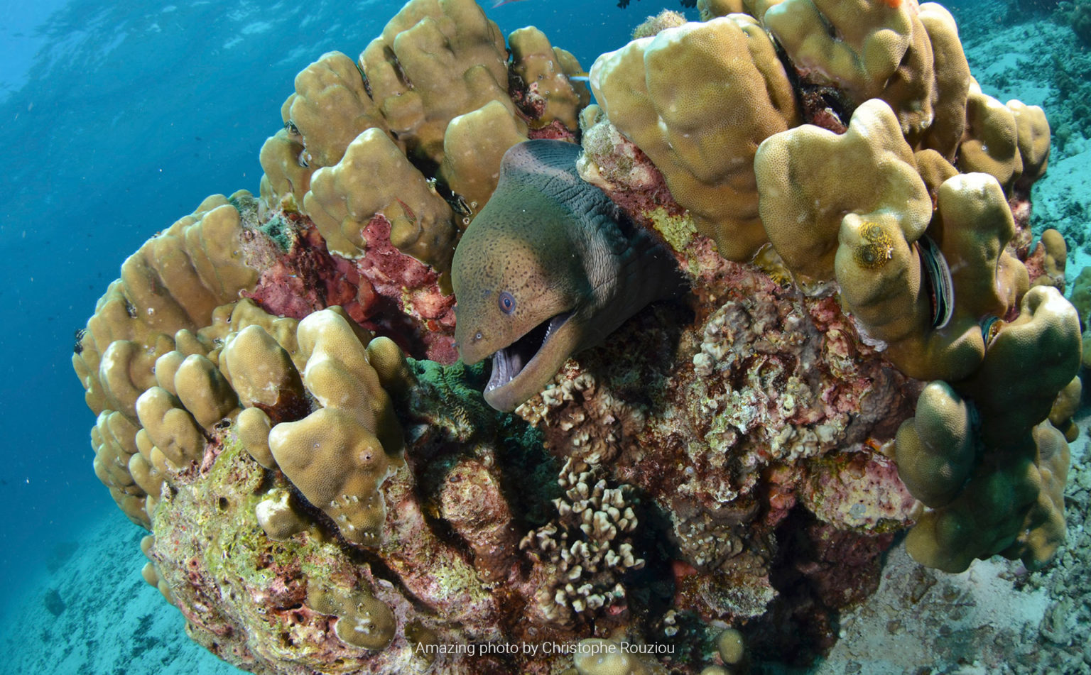 Koh Haa - Diving Koh Lanta - Hidden Depths Diving