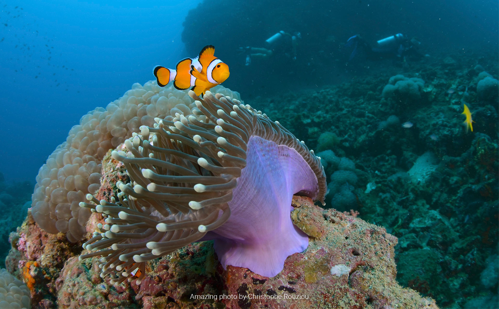 Koh Haa - Diving Koh Lanta - Hidden Depths Diving