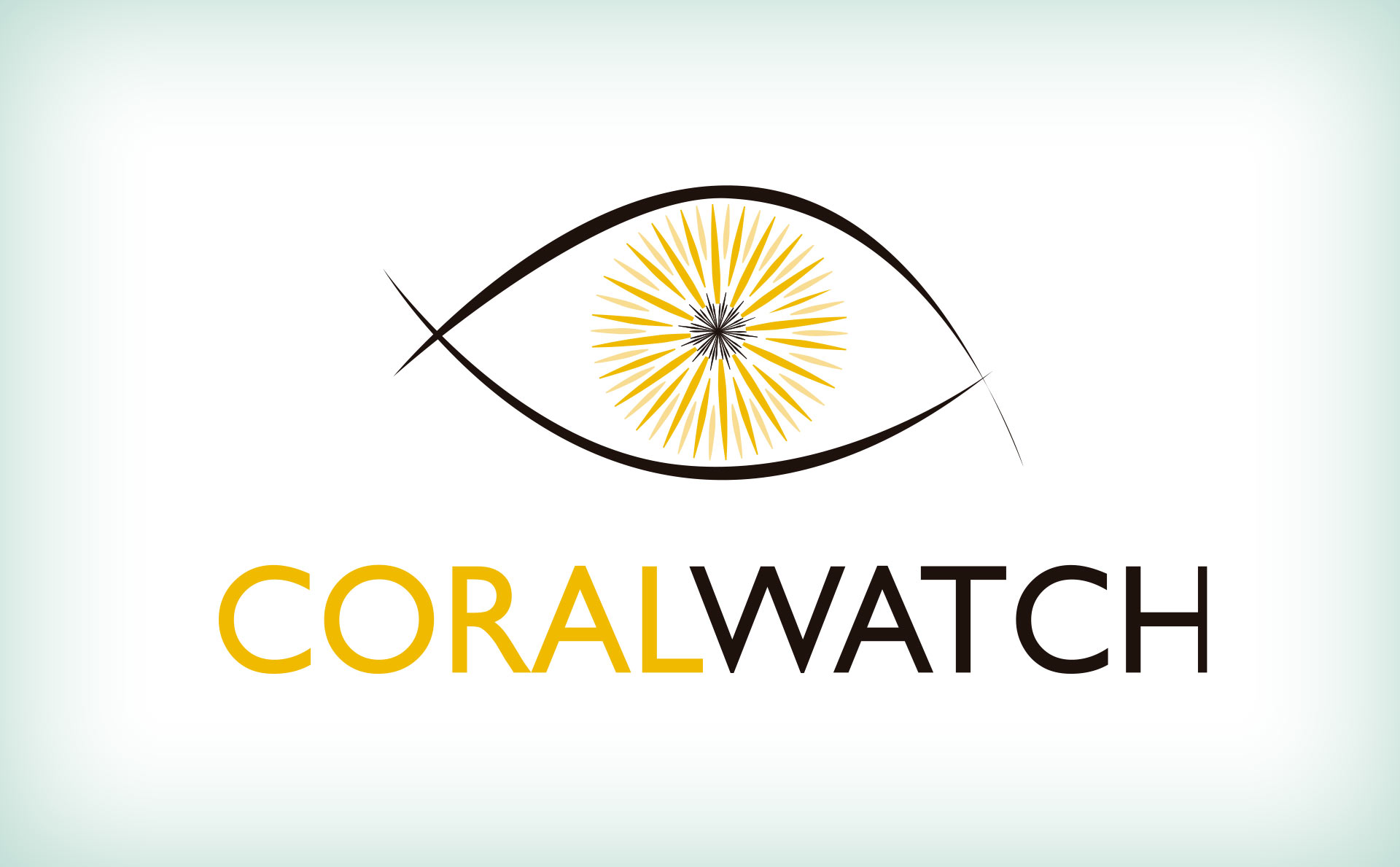 Conservation - Diving Koh Lanta . Hidden Depths Diving